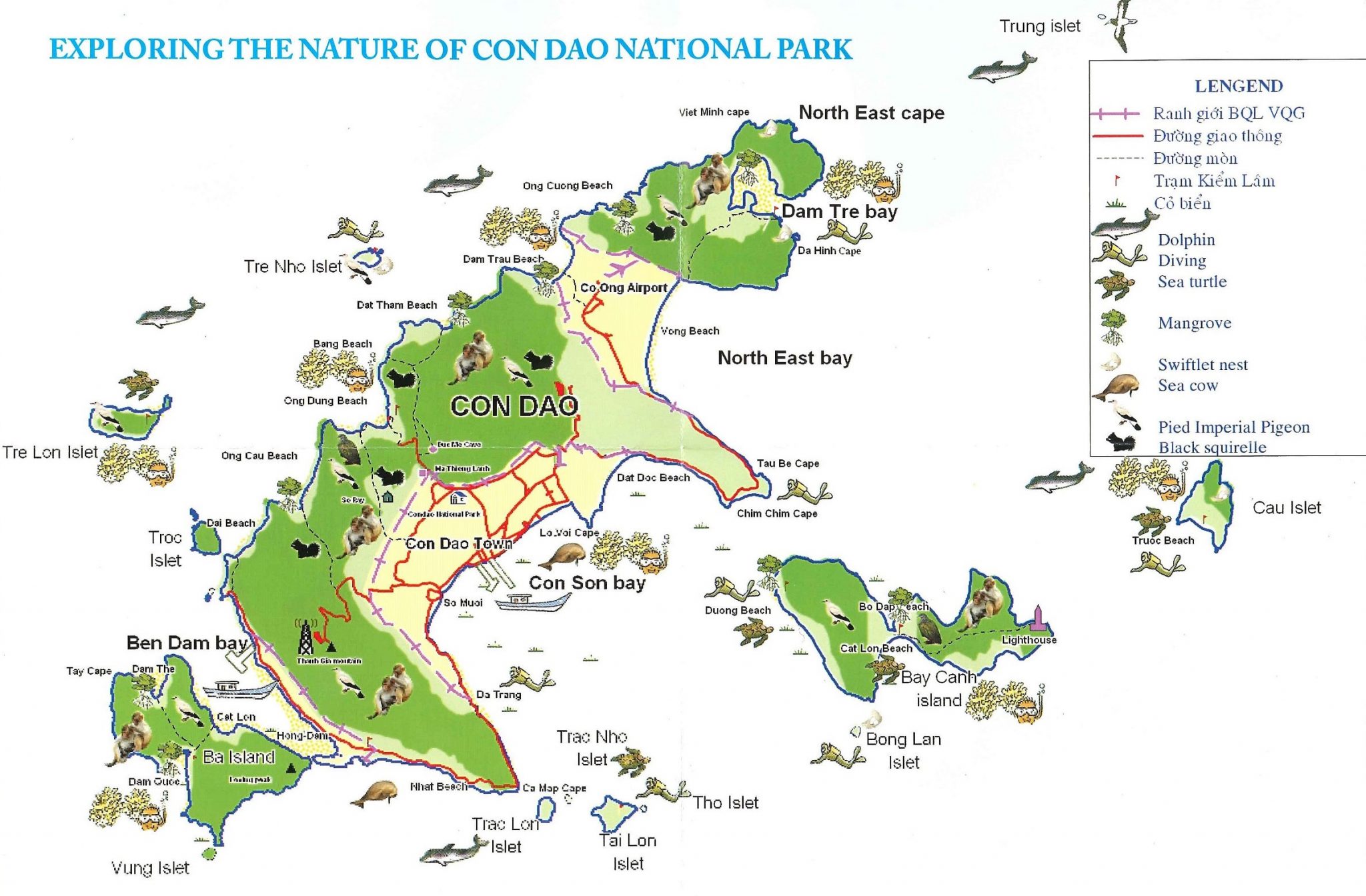 Bảng giá chi tiết dịch vụ cho thuê tàu, cano tại Côn Đảo